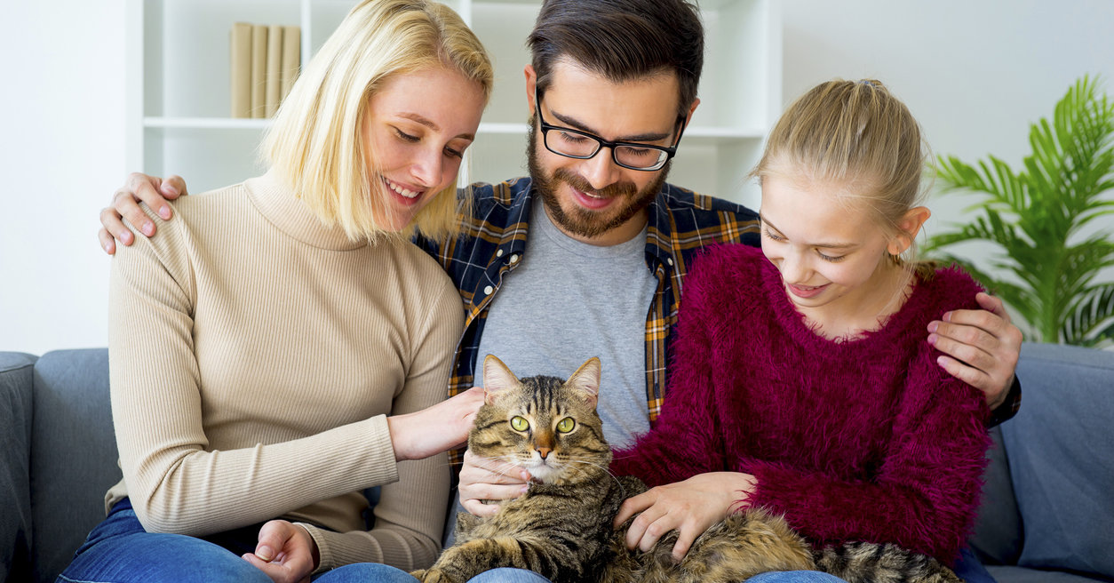 Wenn das Haustier von den Kindern vernachlässigt wird